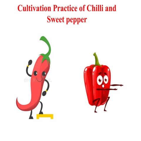 Types of computer | PPTX