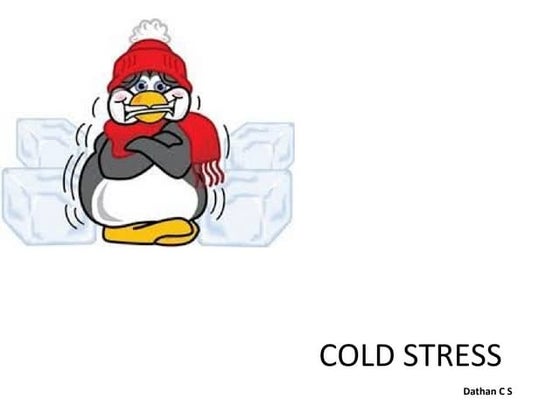 chilling stress, chilling and freezing stress | PPT