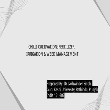 Chilli ppt for B.sc Agriculture Students | PPTX