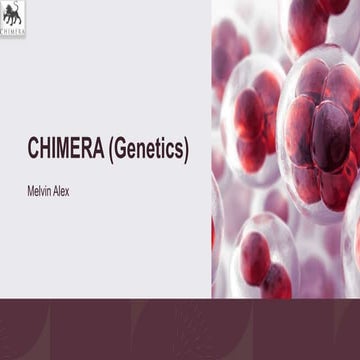 Chimera (genetics) | PPTX