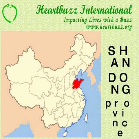 China Shandong | PPT