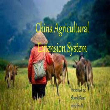 China agricultural extension system | PPTX