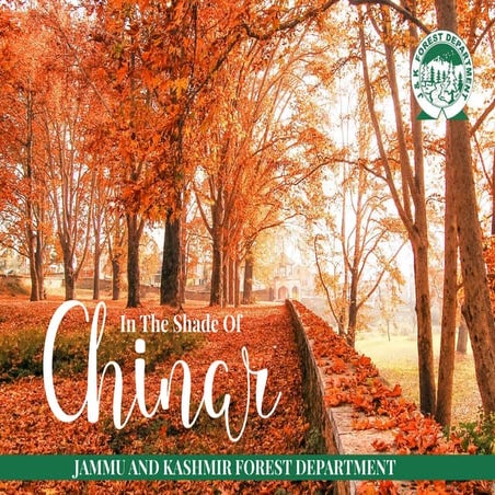 Chinar Booklet - Print version - FINAL (29. APRIL. 2021)-compressed.pdf