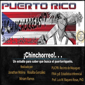 ¡Chinchorreo!. . . un estudio para saber que busca el puertorriqueño. | PDF