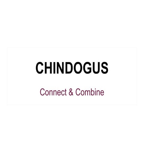 Chindogus | PPT