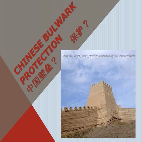 CHINESE Bulwark Protection | PPTX