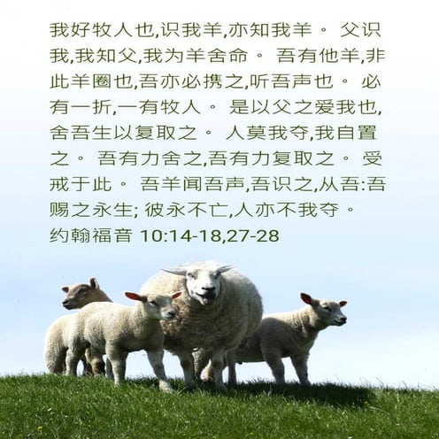 Chinese Literary - Good Shepherd Gospel Tract.pdf