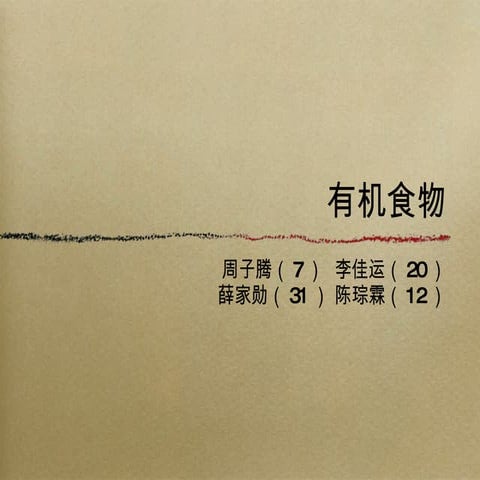 Chinese Org Pro | PPT