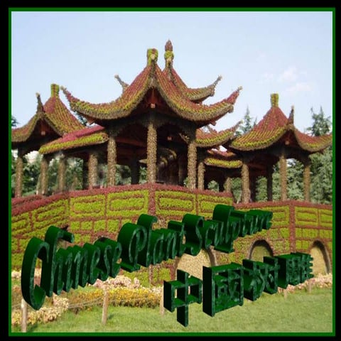 Chinese plantsculpture大陸花博 | PPS