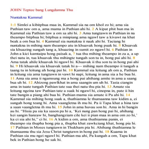 Ngawn bible gospel of john | PDF