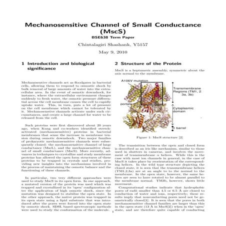 Mechanosensitive Channel of Small Conductance (MscS) | PDF | Chemistry ...