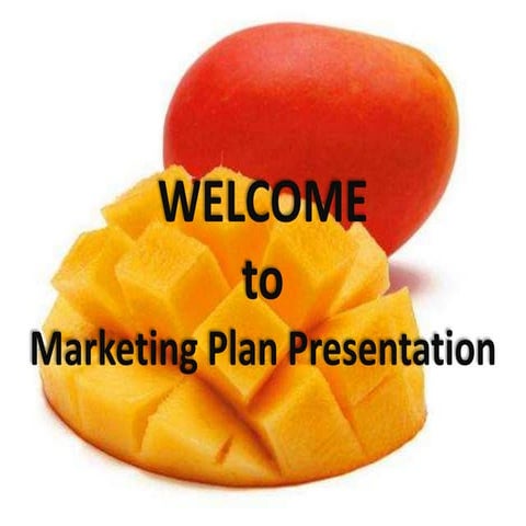 Chippy Mango New Marketing Plan | PPTX | Marketing and Advertising ...