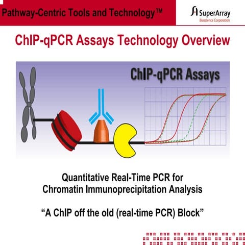 Chipqpcrpresentation | PPT | Free Download