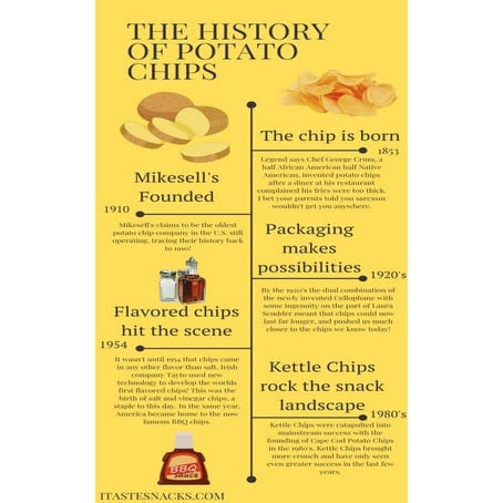 ChipHistory.pdf