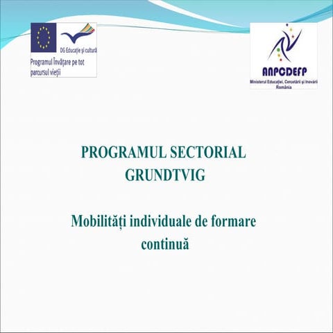 chiticaru_viorica_diseminare_curs_formare_grundtvig.ppt