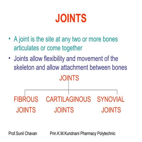 04 joints | PPT