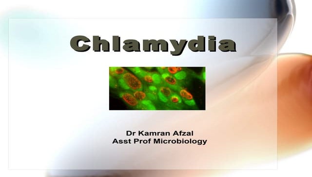 5 Cures For Chlamydia You Should Know Ppt