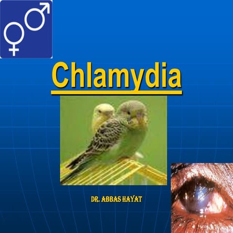 Chlamydia | PPTX