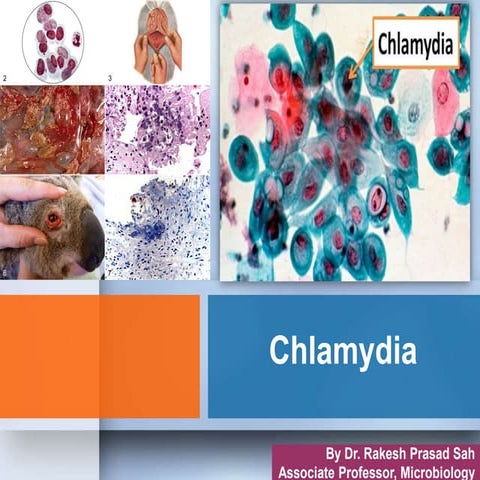 Chlamydia | PPT