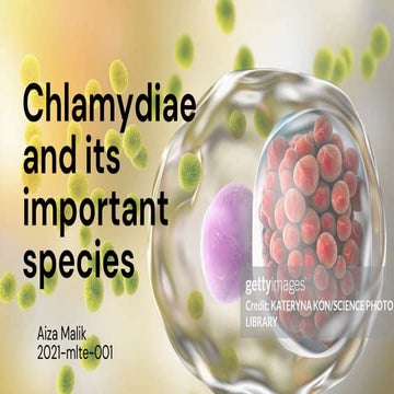 20. chlamydiae | PPTX
