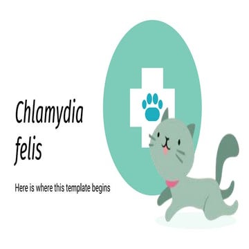 CHLAMYDIA FELIS.pptx