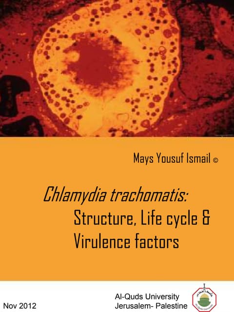 Chlamydia | PPTX | Sexual Conditions | Sexual Health