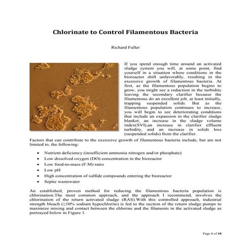 Chlorinate to-control-filamentous-bacteria | PDF