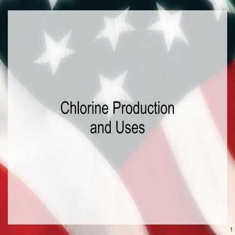 Chlorine Hazards 2009 | PPT