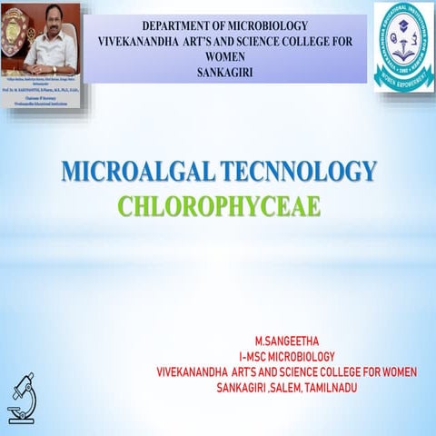 Chlorophyceae.pptx