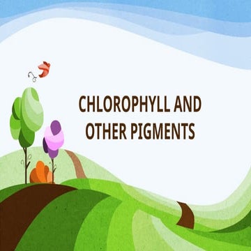 CHLOROPHYLL AND OTHER PIGMENTS general biology.pptx