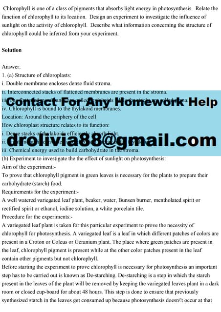 Photosynthesis and the leaf - starch test | PPTX | Chemistry | Science