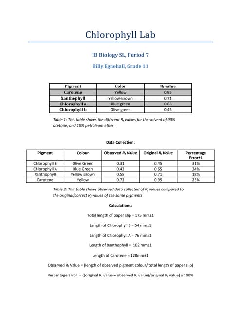 Chlorophyll | PPTX | Chemistry | Science