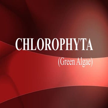 Chlorophyta: (Green Algae) The Phylum of Kingdom Protista. | PDF