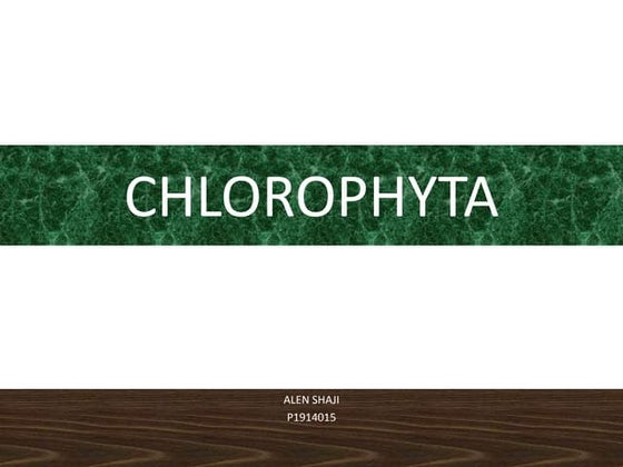 Geological time scale and plant life through ages | PDF | Geology | Science