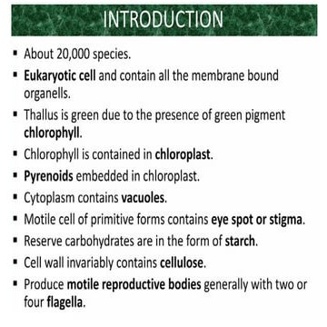 chlorophyta.pptx......................... | PPT