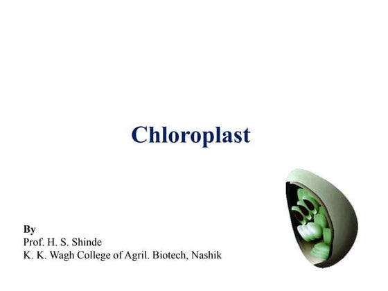 Cell wall structure and function | PPT