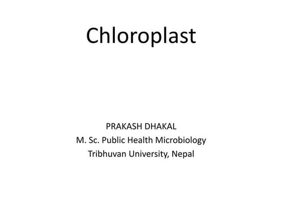 Ultrastructure and functions of Chloroplast.pptx | Biological Sciences ...