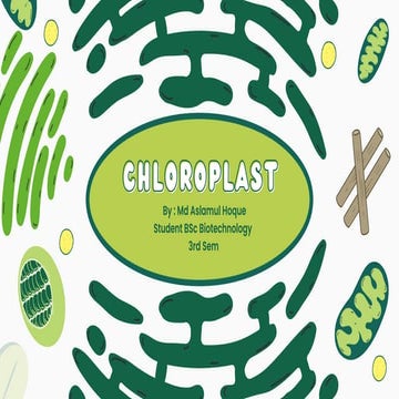 Chloroplast and it's structure presentation.pdf
