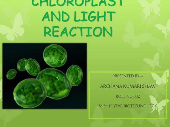 Ultrastructure and functions of Chloroplast.pptx | Biological Sciences | Science