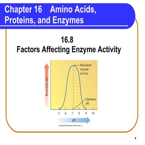 CHM 105-16_8 Factors Affecting Enzyme Activity | PPT