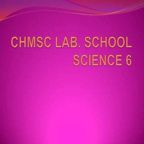 Chmsc Lab Pptx
