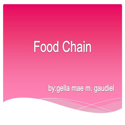 Chmsc lab. school science 6 food chain | PPTX