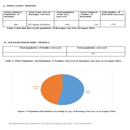 Chn data presentation | DOCX