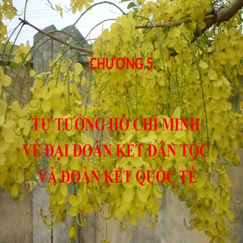 CHƯƠNG 5.2 tuong tuong ho chi minh moi.ppt