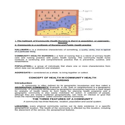 Identifying community health problem | PDF