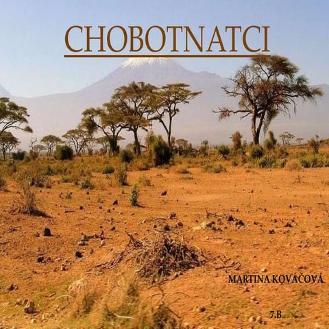 Chobotnatci | PPTX