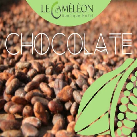 Interesting Chocolate Facts | PPT