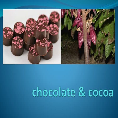 Processing of cocoa | PPTX