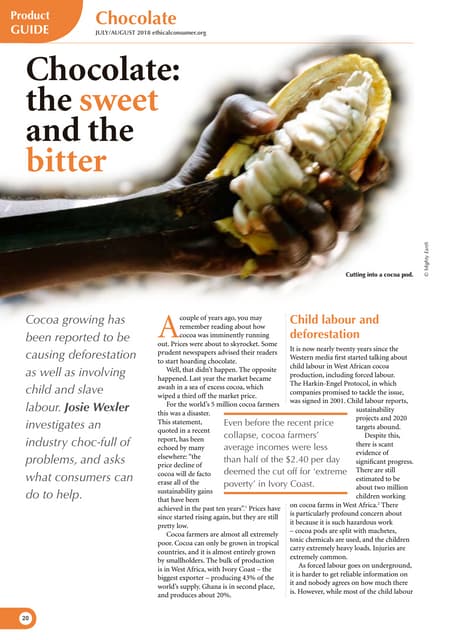 Ethics in the chocolate value chain | PDF