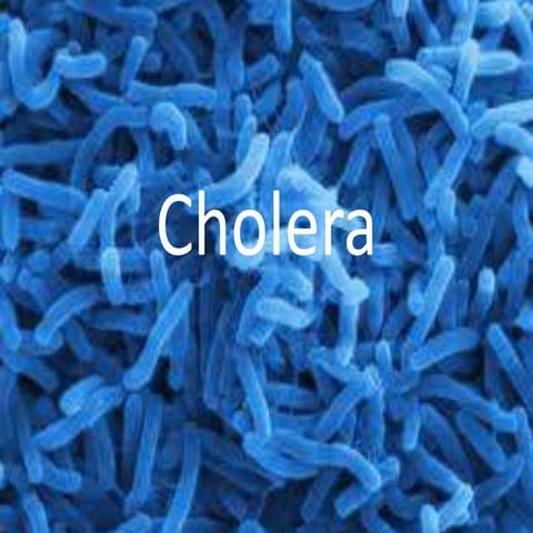 Cholera | PPTX